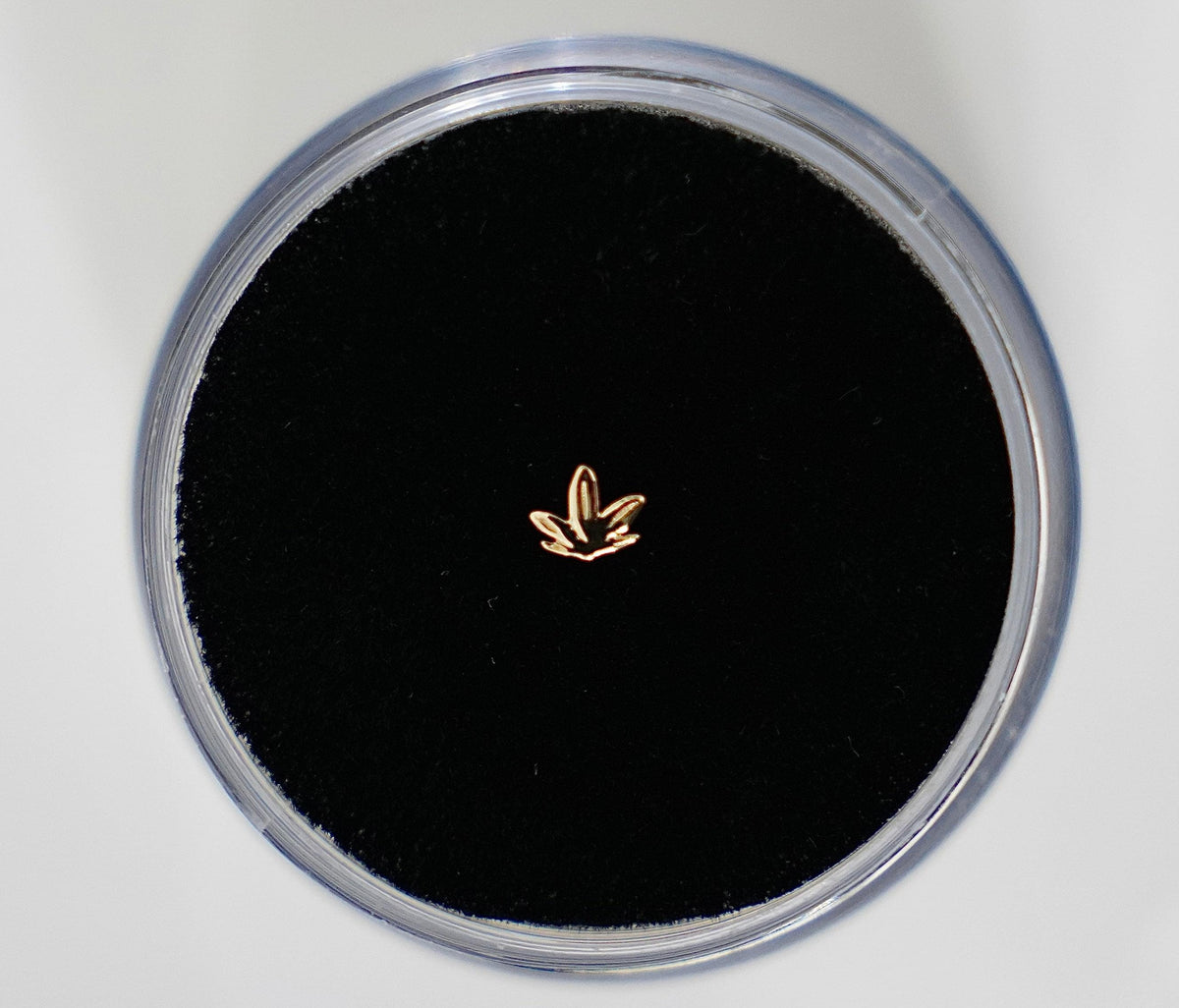 18k Gold Leaf Tooth Gem – Adore Smile